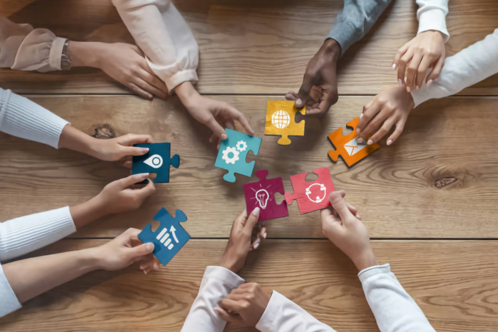 Tipos de sociedades en Chile | Neobiza